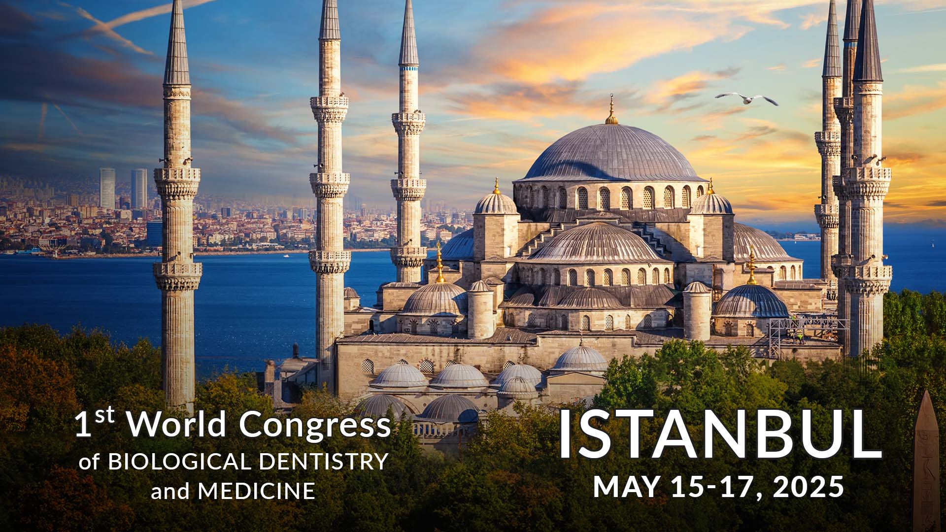 IAOMT World Congress – IAOMT